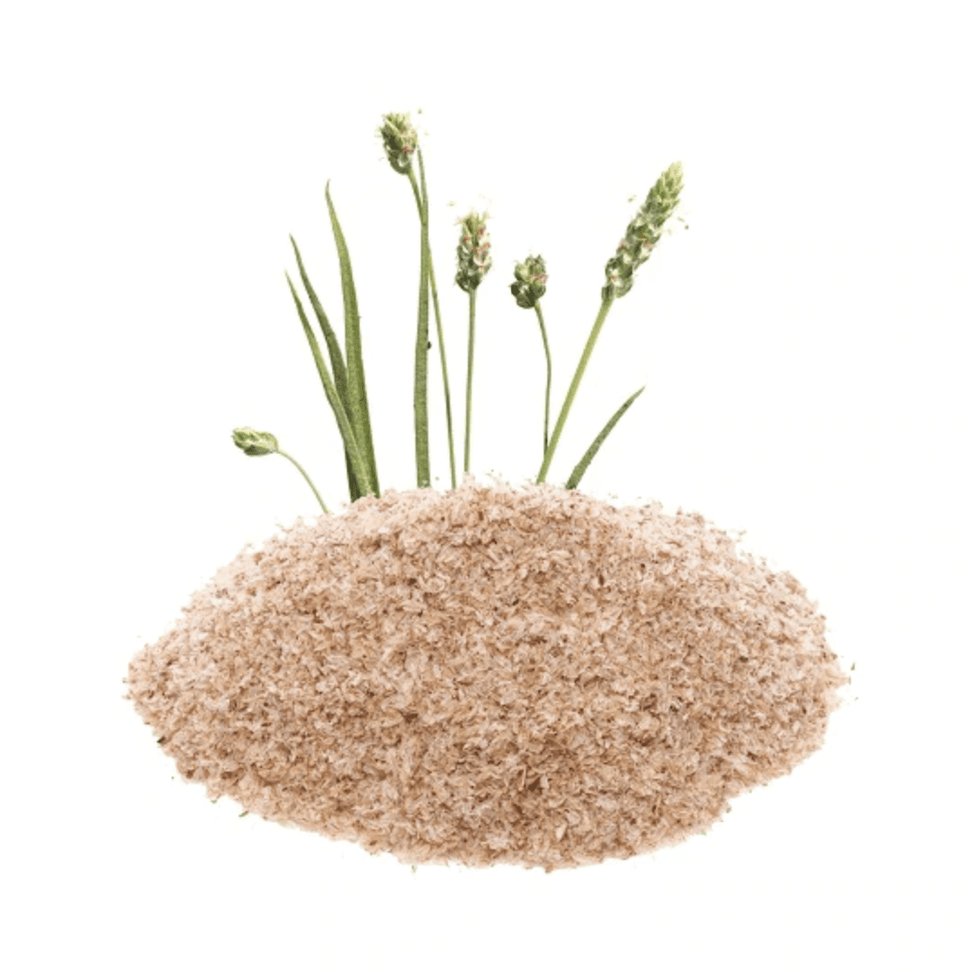 Wholesale Organic Psyllium Seeds, Husk and Powder | Europe & UK